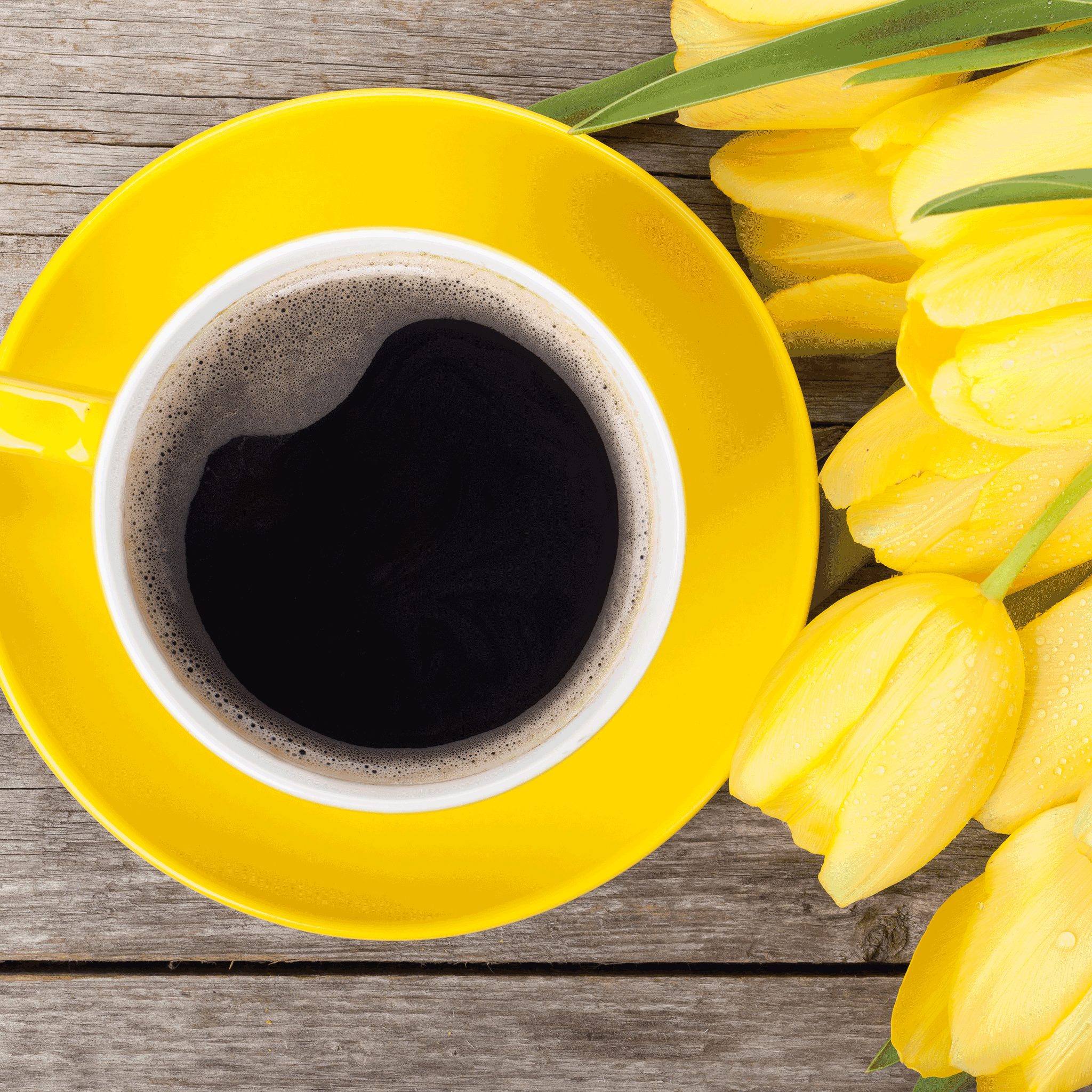 NoKo Roaster & Café – North Koffee Artisan Roasters